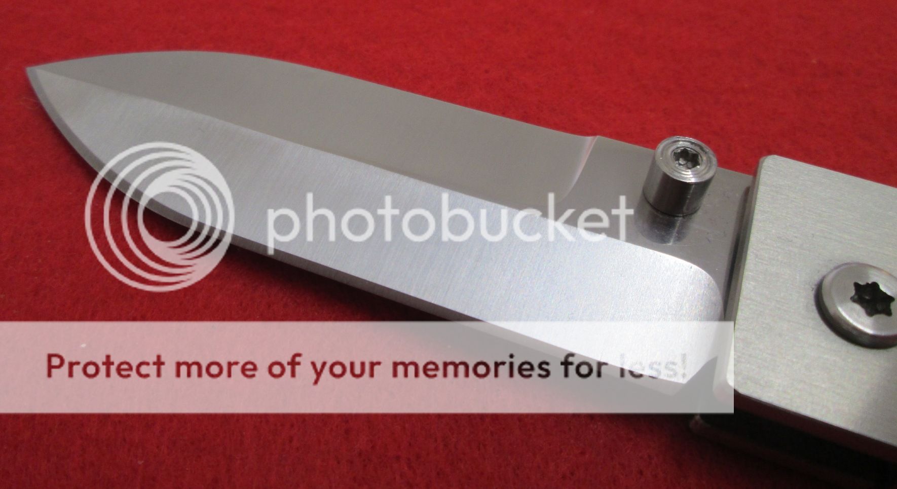 The Avocet by Shing Custom Knives | BladeForums.com