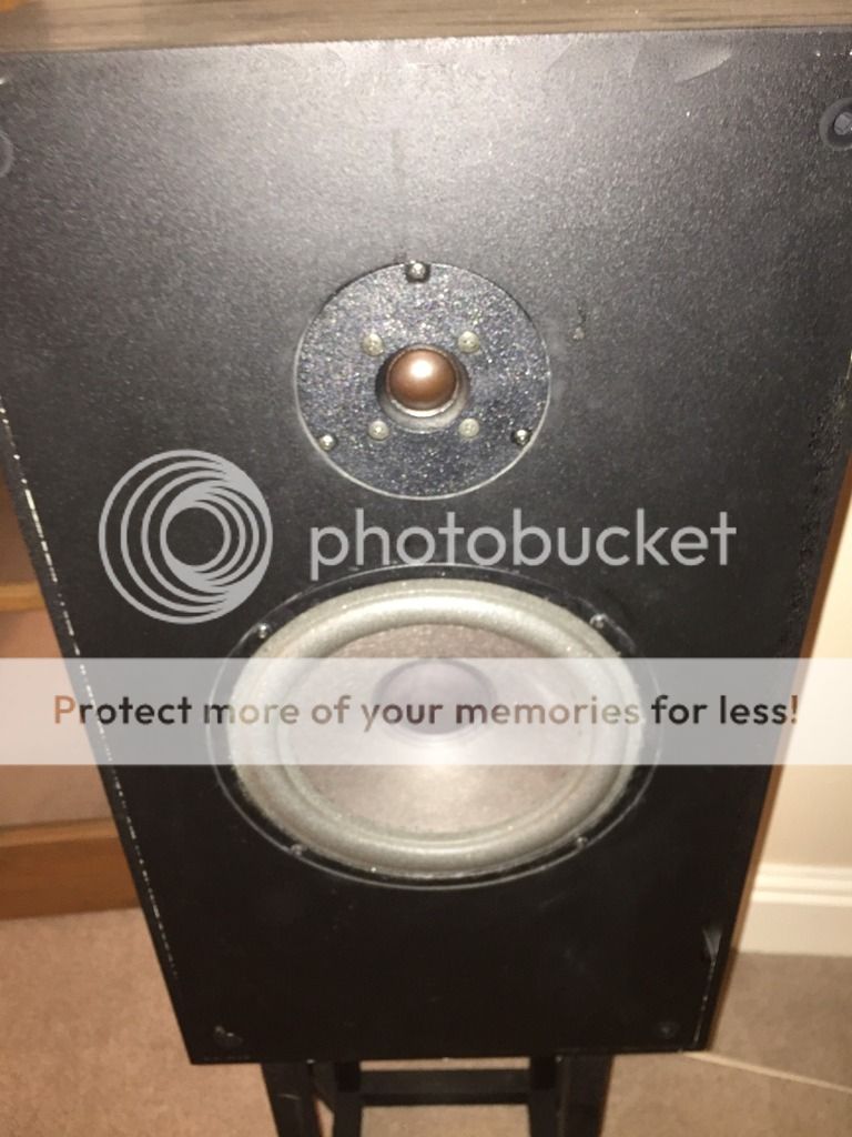 Audio Note ANJ/B Speakers with stands