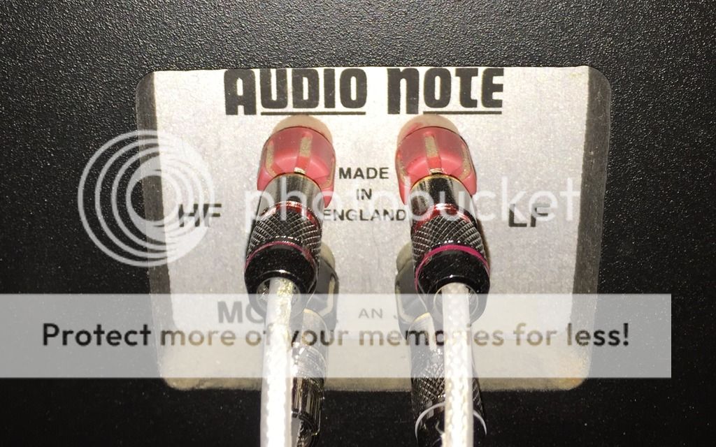 Audio Note ANJ/B Speakers with stands