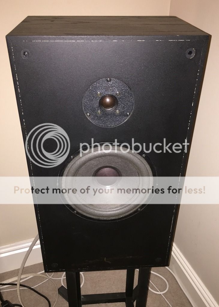 Audio Note ANJ/B Speakers with stands