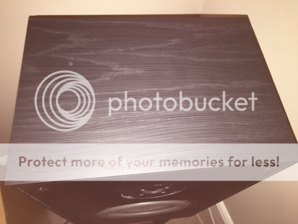 Audio Note ANJ/B Speakers with stands